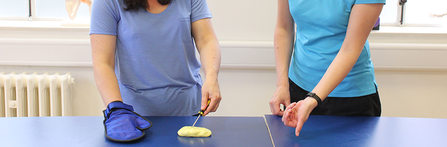 Constraint Induced Movement Therapy Mitt